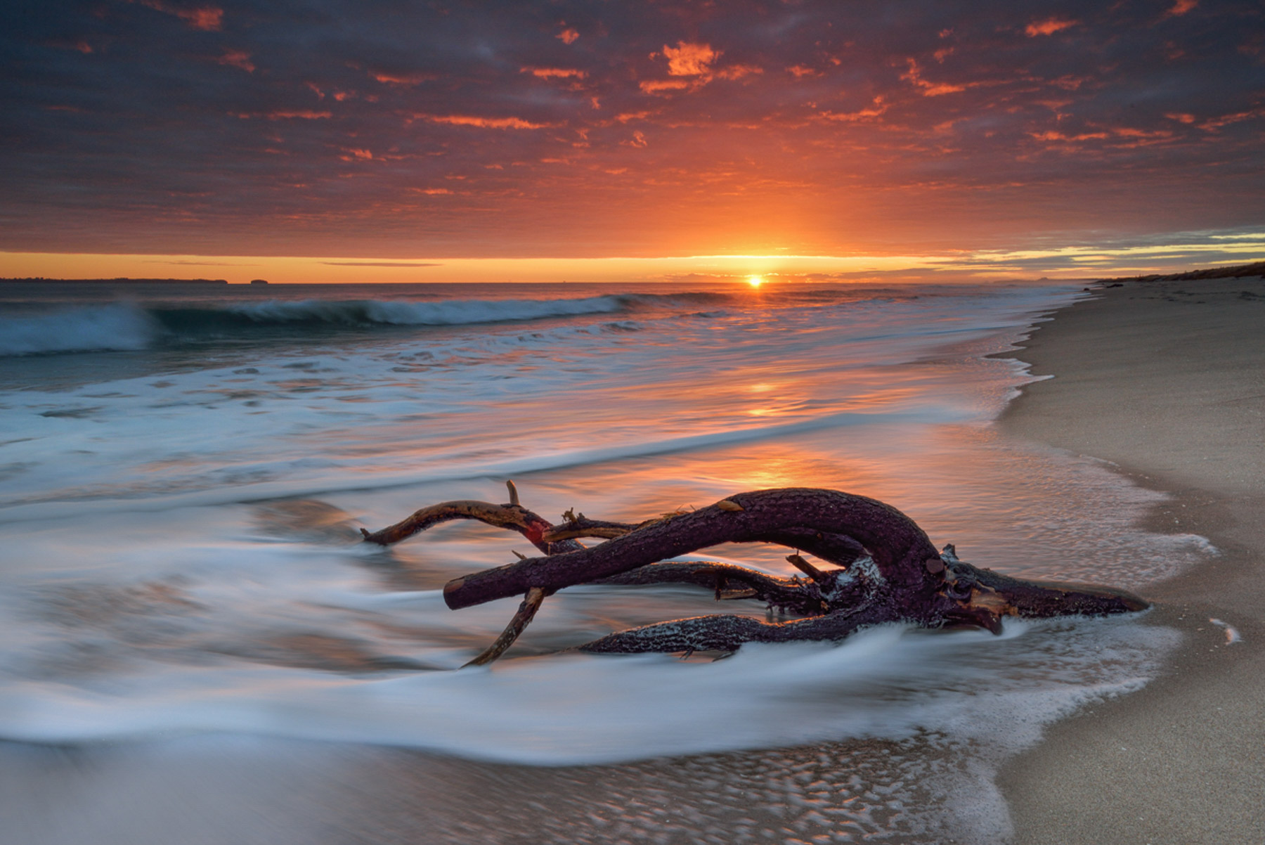 Private Tauranga / Rotorua Photography Tour - New Zealand Photography ...